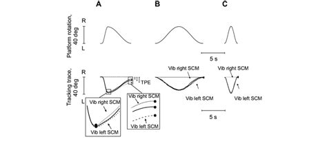 motion perception in response to asymmetric a and symmetric b 0 09