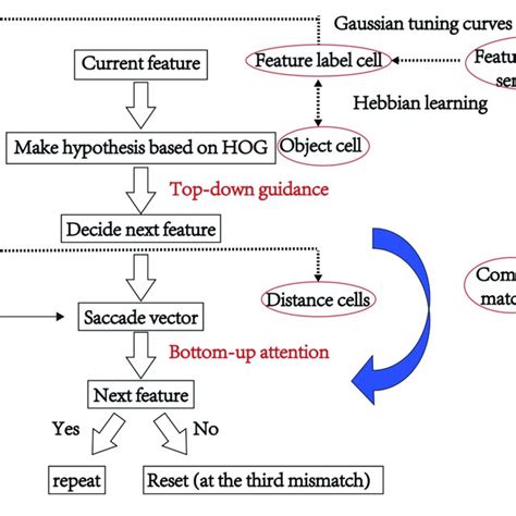 the schematic of our model based on the grid cells and hog algorithm