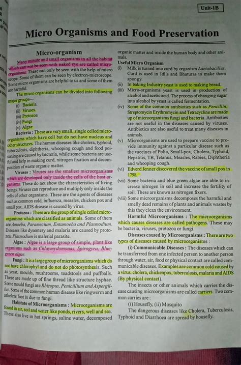 Bacteria These Are Very Small Single Celled Microorganisms Which Have