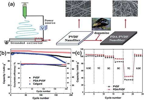 A Schematic Illustration Of The Mussel Inspired Polydopamine Coated Download Scientific