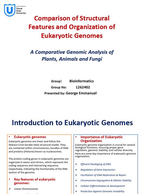 Comparison Of Structural Features And Organization Of Eukaryotic Genome Pdf Genome