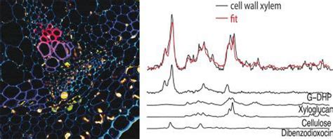 Microchemical Journal X Mol