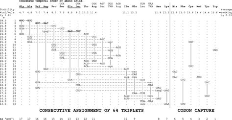 Evolution Of The Triplet Code The Chart Is Based On The Consensus
