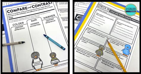 Penguins Reading Comprehension Activities For 2nd 3rd And 4th Grade