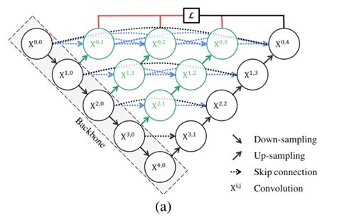 Forward Vs Backward Vs Optimize Pytorch Forums