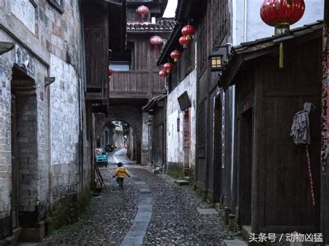 中國閩西北罕見城堡式古鎮 青磚灰瓦間的古樸歲月 每日頭條