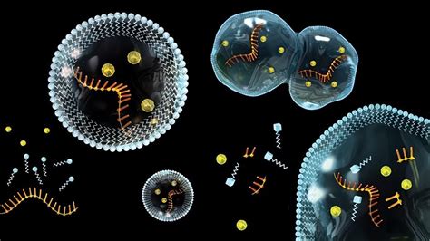 New Origins Of Life Discovered Creating Amino Acids And More