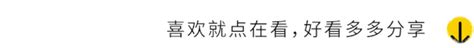 【重磅推荐】dotnetty：高性能异步事件驱动的网络应用程序框架 Csdn博客