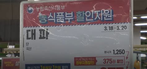 대파 875원 윤석열 대파 논란 사건 총 정리