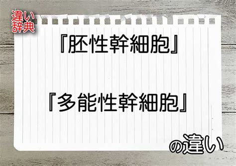 『胚性幹細胞』と『多能性幹細胞』の違いの意味を早わかり！ 違い辞典