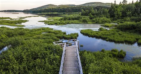 Les Marais du Nord un paradis naturel à découvrir Nomade