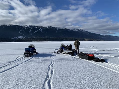 Large Perch Ice Fishing At Cascade Lake Id