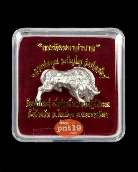 กระทิงมหาอำนาจ จ้าวสีเงิน ปี 2561 หลวงพ่อคูณ วัดบัลลังก์ อำเภอโนนไทย จังหวัดนครราชสีมา