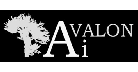 Avalon Ai Company Profile Funding Investors And Partnerships