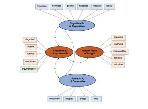 Ecological Momentary Assessment Of Bipolar Disorder Symptoms And Partner Affect Longitudinal
