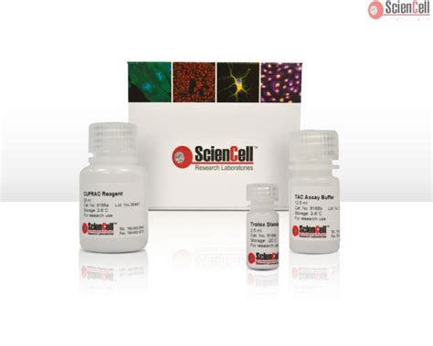 Total Antioxidant Capacity Assay
