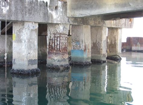 Reinforced Concrete Polilapp