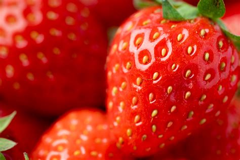 “여보 나 겨울 딸기 먹고 싶은데”…‘충격 과일·채소값 도대체 얼마길래