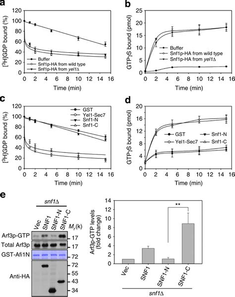 C Terminal Regulatory Domain Of Snf1p Activates Arf3p Ad Activation