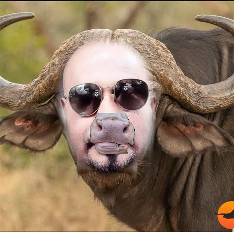 මල් ජානා Mal Jaana