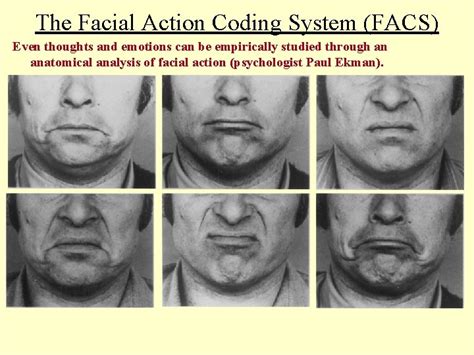 Blues Clues And The Facial Action Coding System