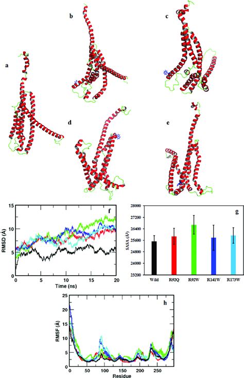 Molecular Dynamics Simulations Of Wild Type Wt And Tnt Variants