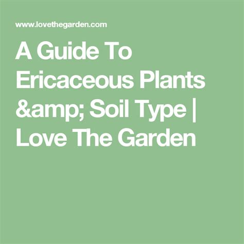 What Vegetables Grow In Ericaceous Soil At Patricia Candice Blog