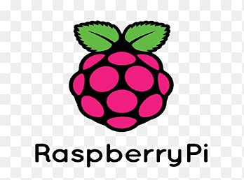 Raspberry Pi Foundation Raspbian Single Board Computer Logo Raspberry Food Leaf Png Pngegg