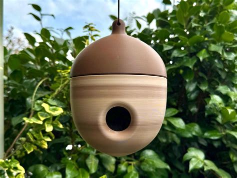 Acorn 3d Birdhouse Digital Files 3d Bird Feeder 3d Digital File 3d Stl Files 3d Bird
