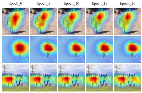 Cvpr2021 之 Saliency Map 生成方法 Group Cam 极市开发者社区