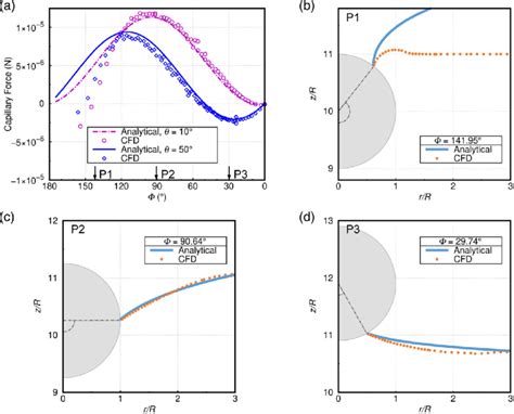 A Capillary Force Acting On Particle At Different Location Angle ϕ By