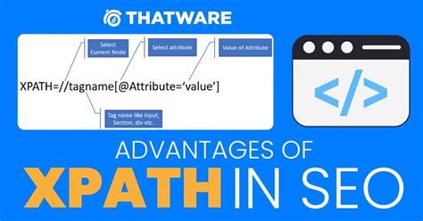 Xpath Seo Guide Extensive Data Scraping Procedure 2025