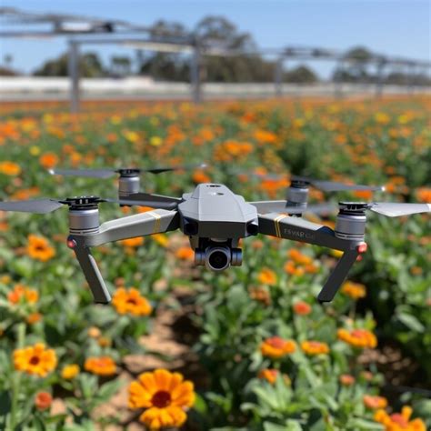 Premium Photo Artificial Pollination Using Drones Automation Of The Agricultural Sector