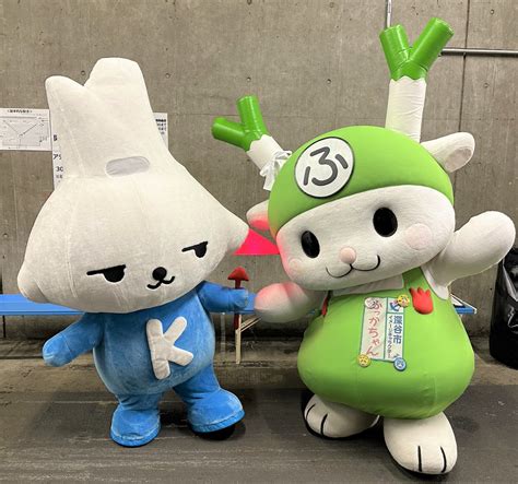 カミスココくん on Twitter 今日は ふっかちゃん fukkachan のお誕生日なんだよー ふっかちゃんおめでとー
