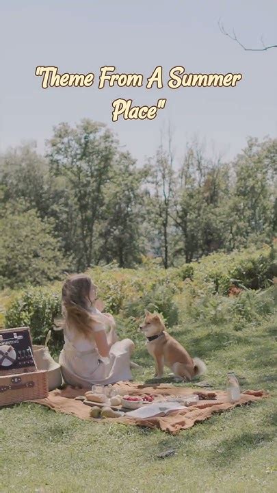 Theme From A Summer Place Percy Faith And His Orchestra Music Video