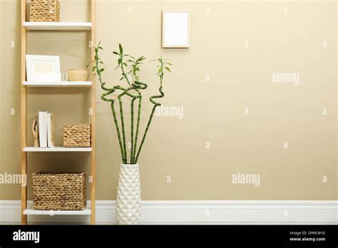 Vase With Green Bamboo Stems And Decorative Ladder Near Beige Wall In
