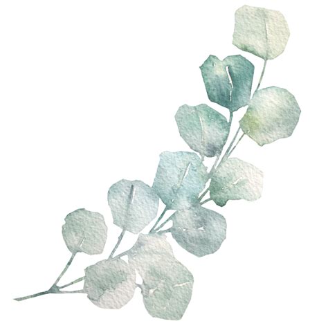Natural Leaf Watercolor 9827415 Png