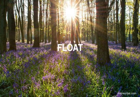 19 Arti Kata Float Kamus Bahasa Inggris Terjemahan Indonesia