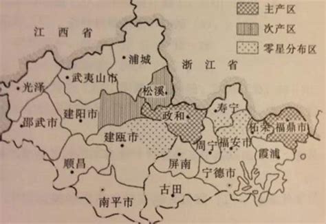 白茶产地 霞浦 特产 大山谷图库