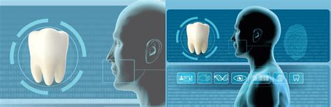 Identificación Forense En México Por Medio De La Odontología Dental