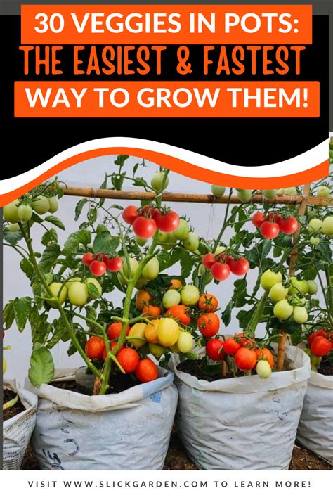 30 Veggies In Pots The Easiest Fastest Way To Grow Them Artofit