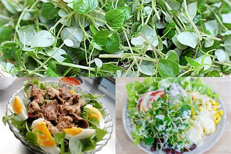 Rất Hay 6 Cách Làm Salad Rau Càng Cua Với Trứng Thịt Giảm Cân Hiệu Quả