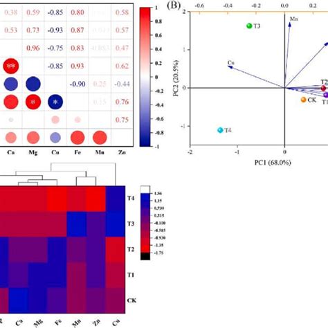 Pearsons Correlation Analysis A Principal Component Analysis B