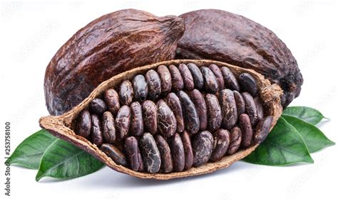 Cocoa Pods And Cocoa Beans Chocolate Basis Isolated On A White