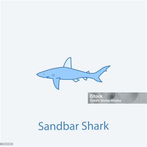 모래톱 상어 2 컬러 라인 아이콘입니다 간단한 빛과 어두운 파란색 요소 그림입니다 물고기에서 모래톱 상어 개념 개요 기호 디자인 설정 고래에 대한 스톡 벡터 아트 및 기타