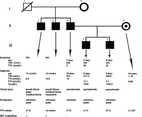 Pseudodominant Inheritance Of Congenital Thyroid Dyshormonogenesis Download Scientific Diagram