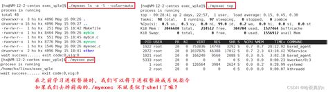 【linux】12 模拟实现shell模拟linux系统shell编程 Csdn博客