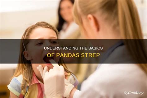 Understanding The Basics Of Pandas Strep Cycookery