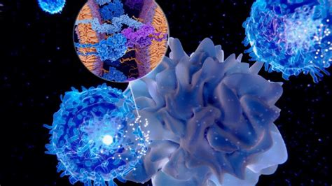 Beth Root Benefits Dosage Side Effects Drug Interactions And Other Important Information