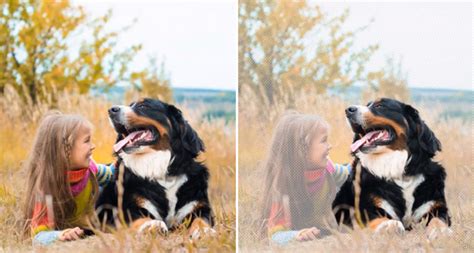 Photoshop S New Select Subject Tool Lets You Select People And